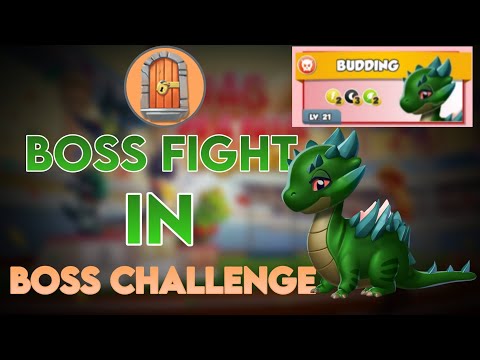 Boss fight with budding dragon in boss challenge |Dragon mania legends