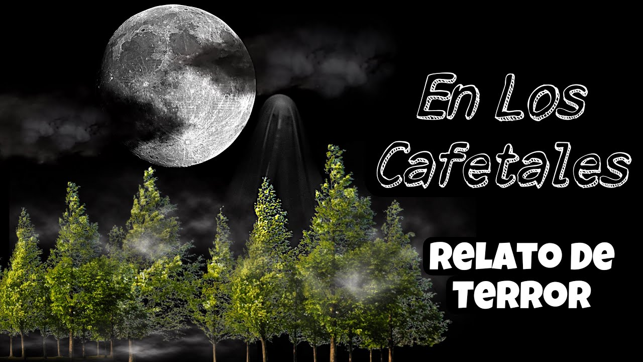 EL MIEDO EN LOS CAFETALES - RELATOS DE TERROR - YouTube