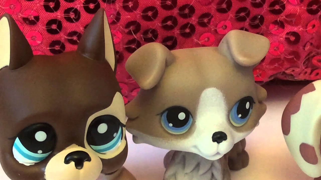 LPS: Package Opening From Ebay~LPSAwesome911 - YouTube