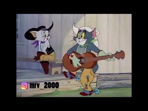 Tom and Jerry: Tom, Dolya Vorovskaya:D