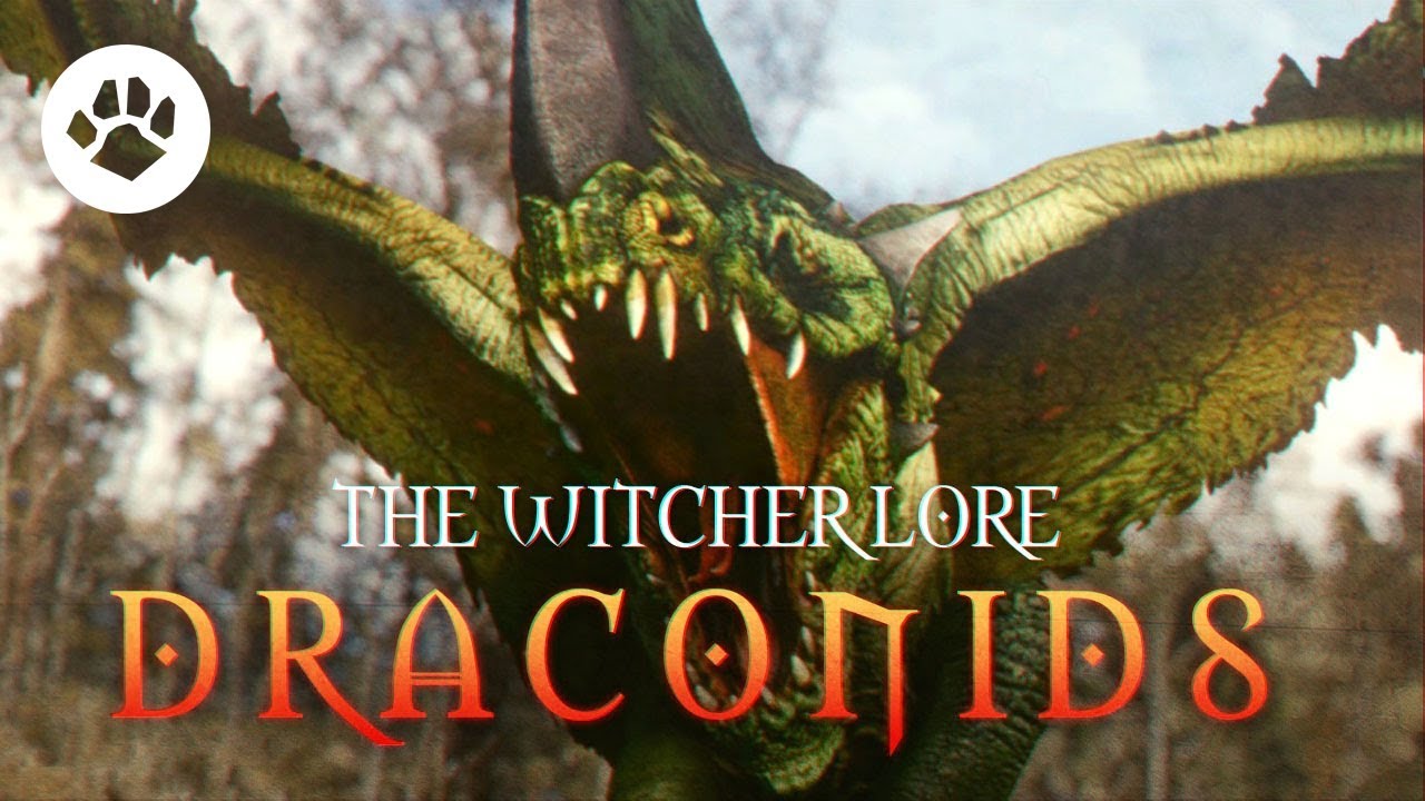 What are Draconids? The Witcher 3 Lore - Draconids - YouTube