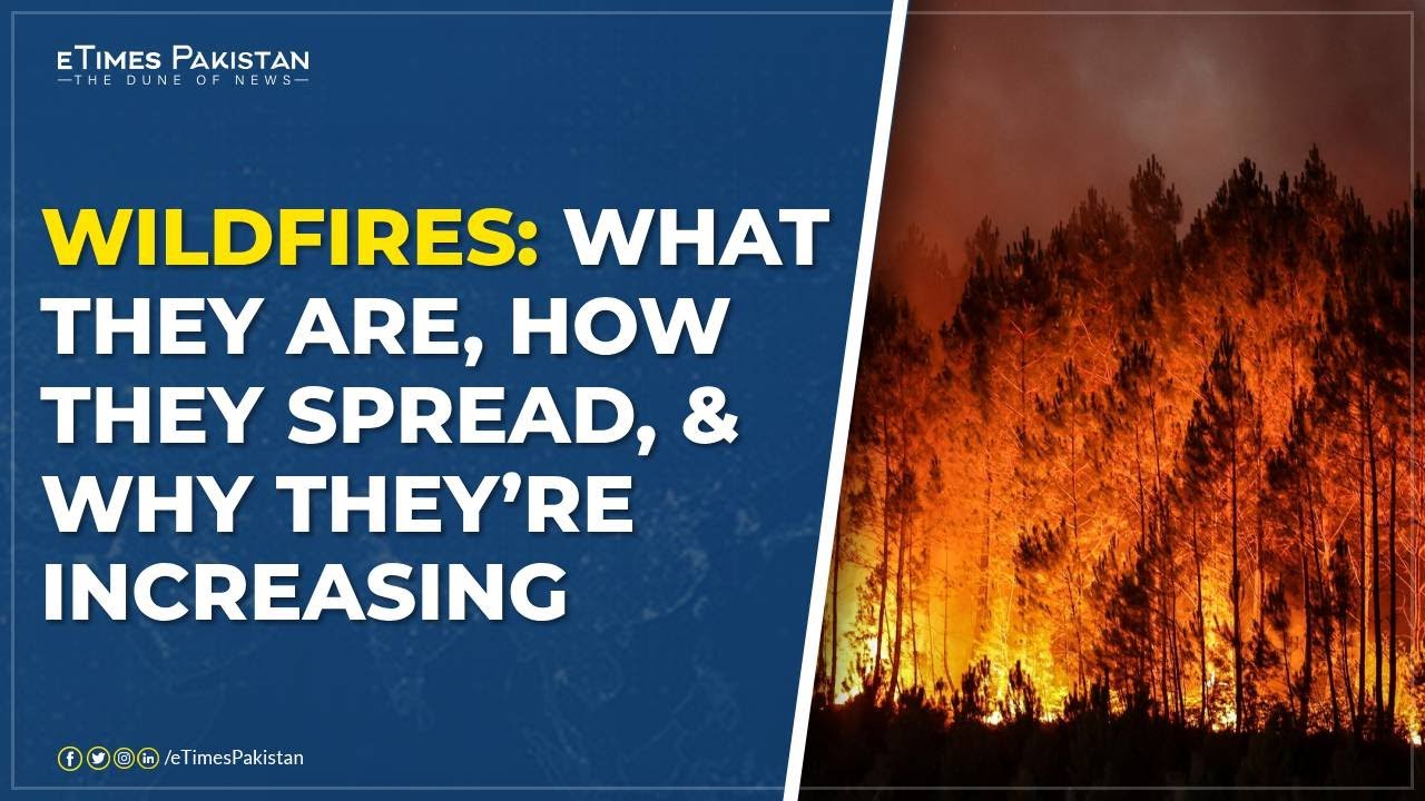 Wildfires Explained: Causes, Spread, and Why They’re Increasing ...