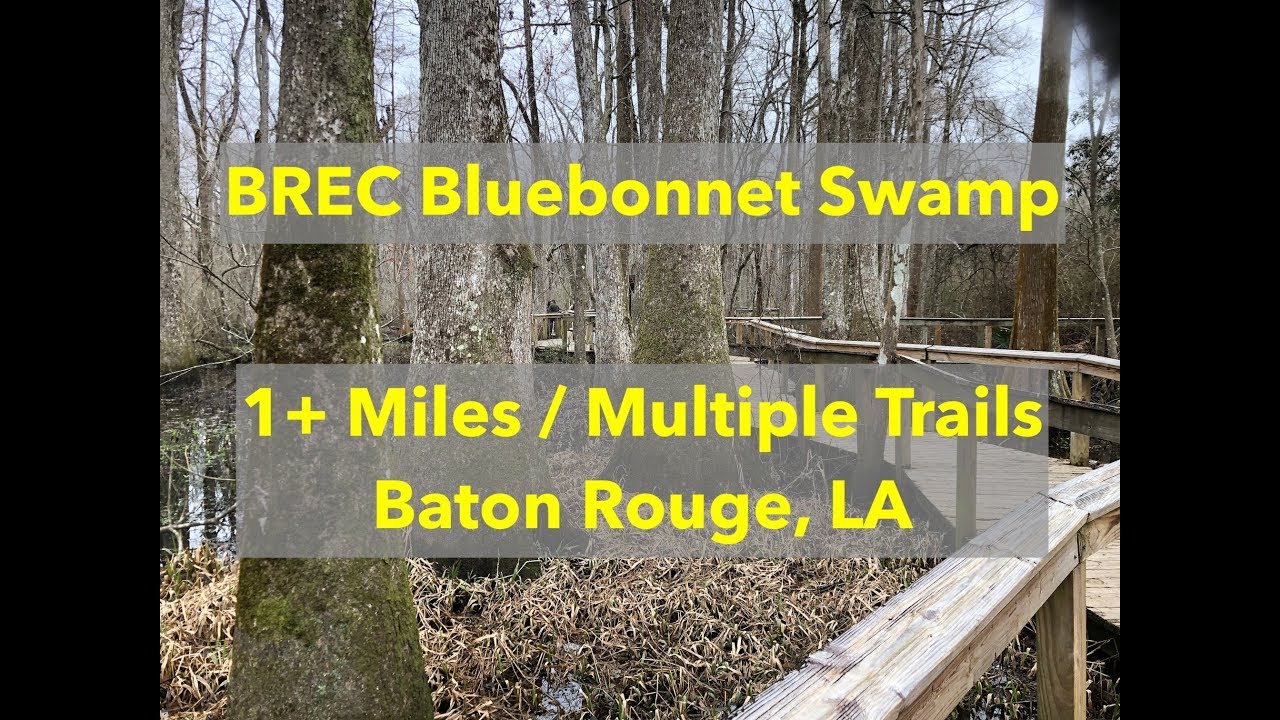 BREC Bluebonnet Swamp - Trails in Louisiana Near Baton Rouge - YouTube
