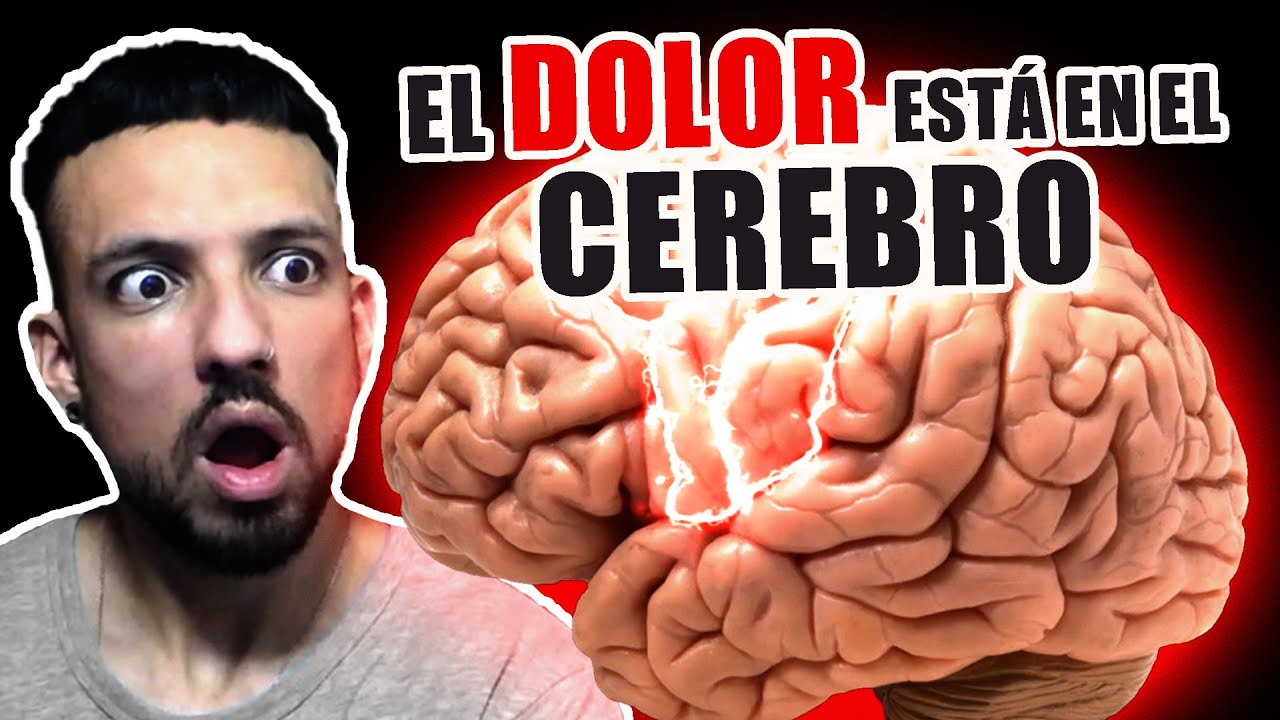 ATENCIÓN ‼️ MIRA LO QUE PASA EN TU CEREBRO CUANDO TE DUELE ESA PARTE ...