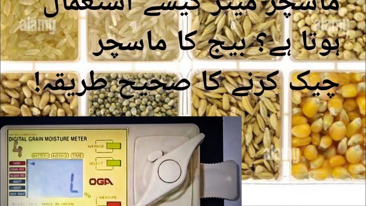 how to use moisture meter |Rice moisture meter |moisture test paddy ...