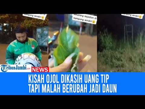 Viral Kisah Ojol Antar Penumpang Ke Rumah Mewah, Dikasih Uang Tip Tapi Malah Berubah Jadi Daun