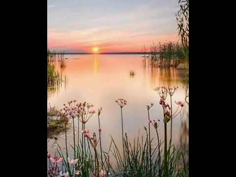 Cem Karaca - ÖMRÜM