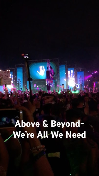Above & Beyond- We’re All We Need, EDC Las Vegas 2016 #edclasvegas #aboveandbeyond #anjunafamily ...