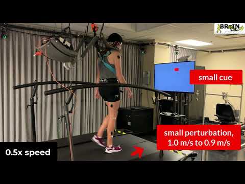 UCF BRaIN Lab "stick" treadmill perturbations with visual cueing - YouTube