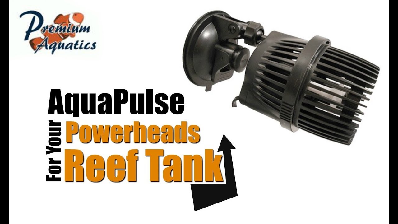 AquaPulse Powerheads For Your Reef Tank - YouTube
