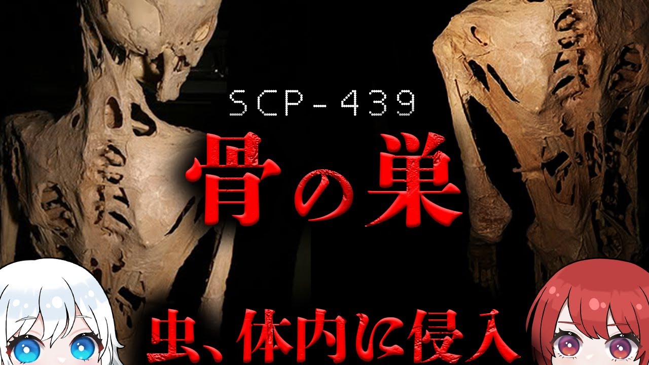 【ゆっくりSCP解説】これは、起源不明の昆虫です。【SCP-439】 - YouTube