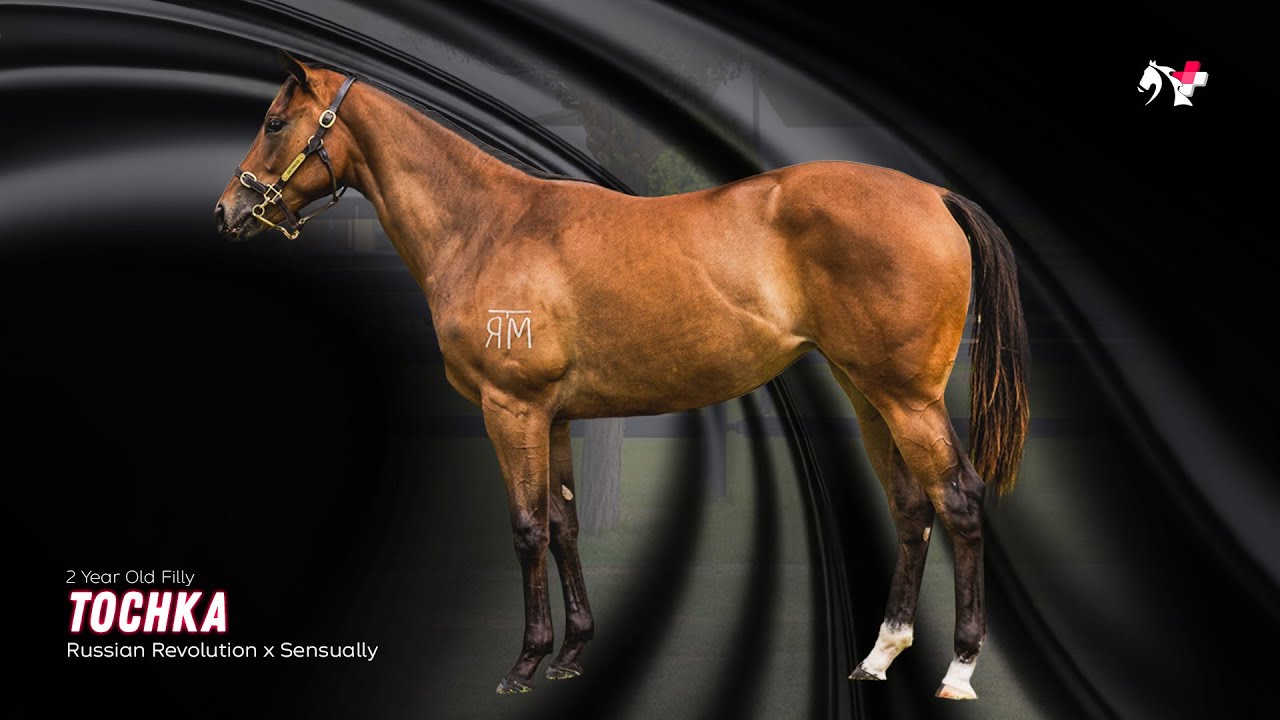 Tochka | It's Showtime - YouTube