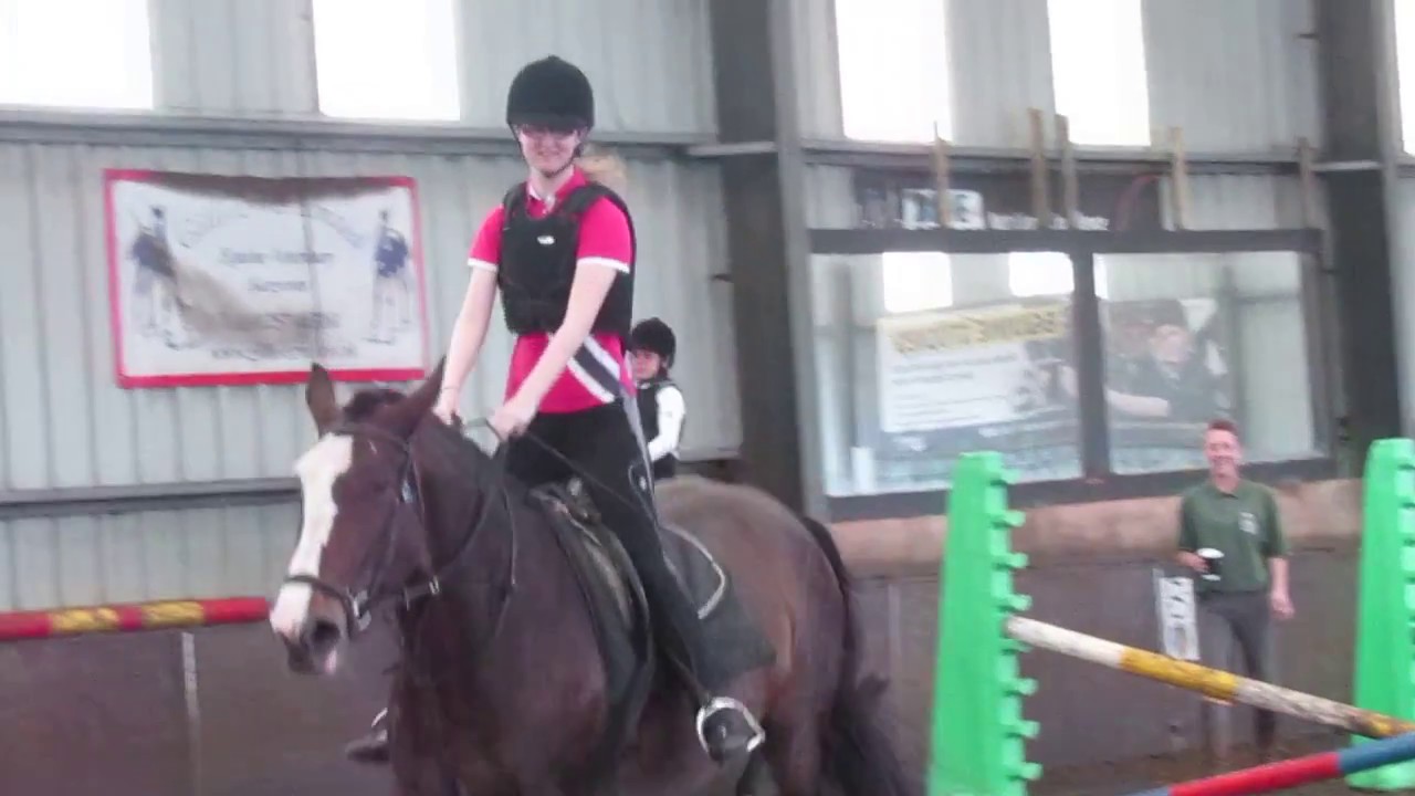 Bounce jumps with Bessie at Ryders Farm equestrian Centre. - YouTube