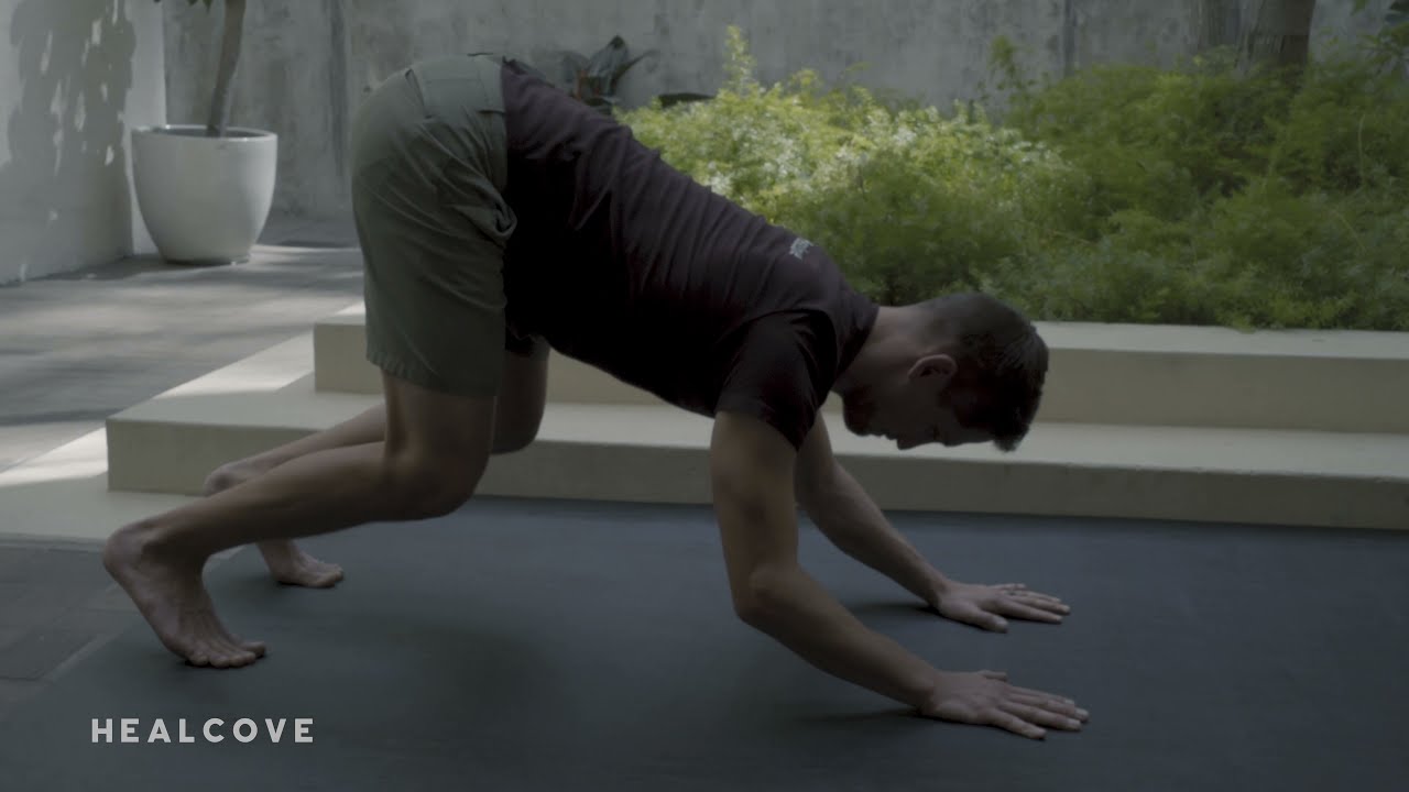 Bear Elbow to Hands Transition - YouTube