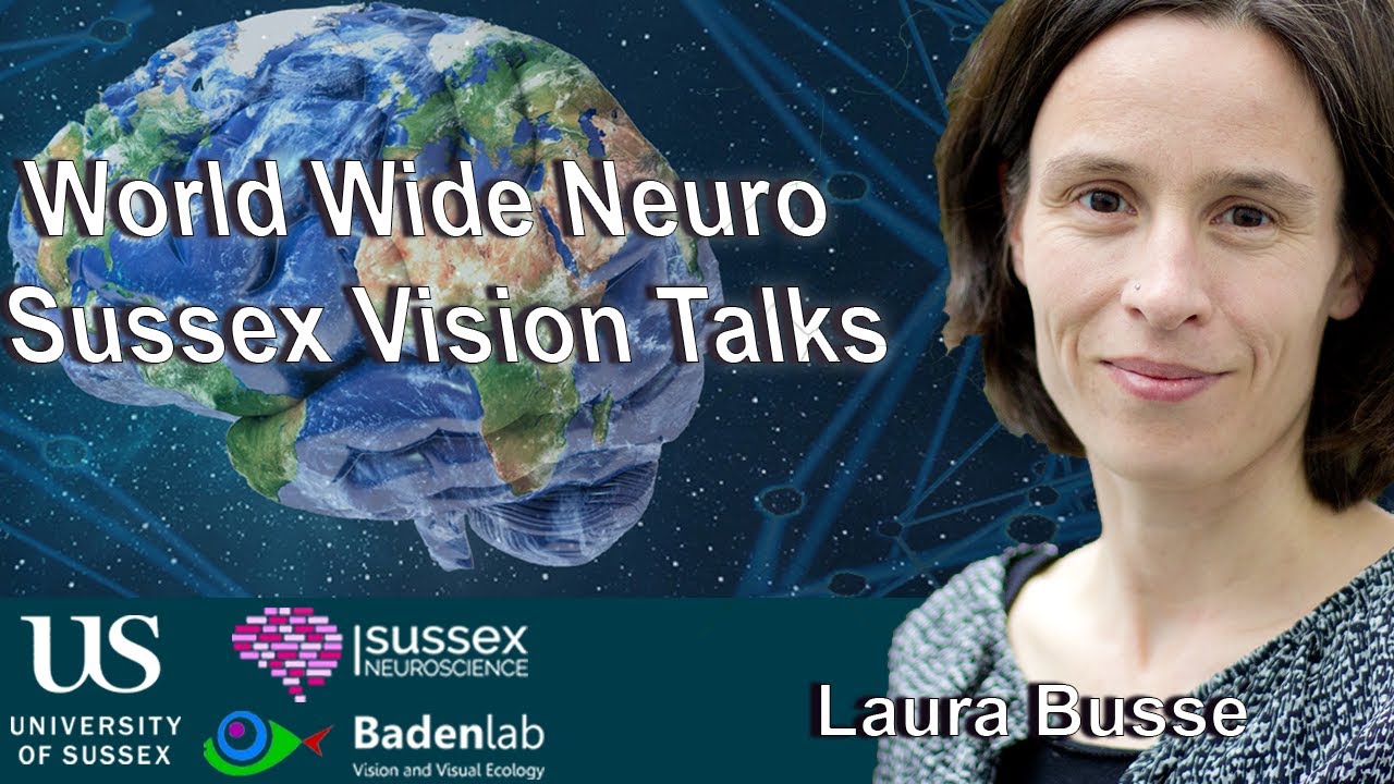 World Wide Neuro Sussex Vision Series 07 06 2021 Laura Busse World Wide Neuro Sussex Vision Series 07 06 2021 Laura Busse