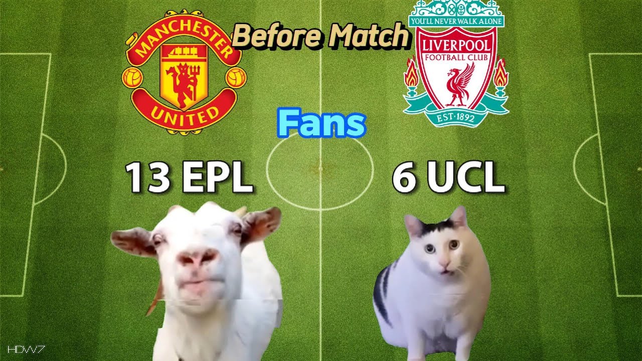 Cat Football Memes - MU vs Liverpool - YouTube