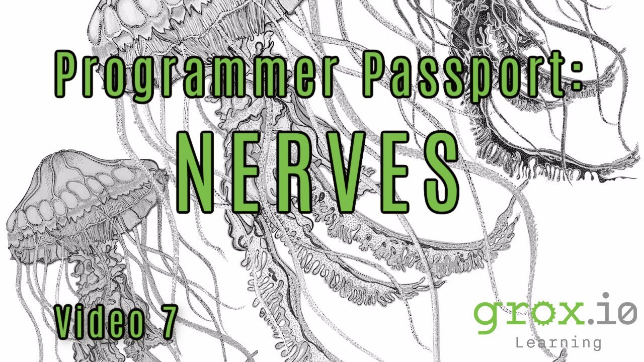 Programmer Passport: Elixir Nerves, Video 7 - Building an Adapter Layer - YouTube