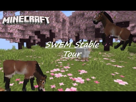 Pureland Stables Tour! - SWEM server tour - YouTube