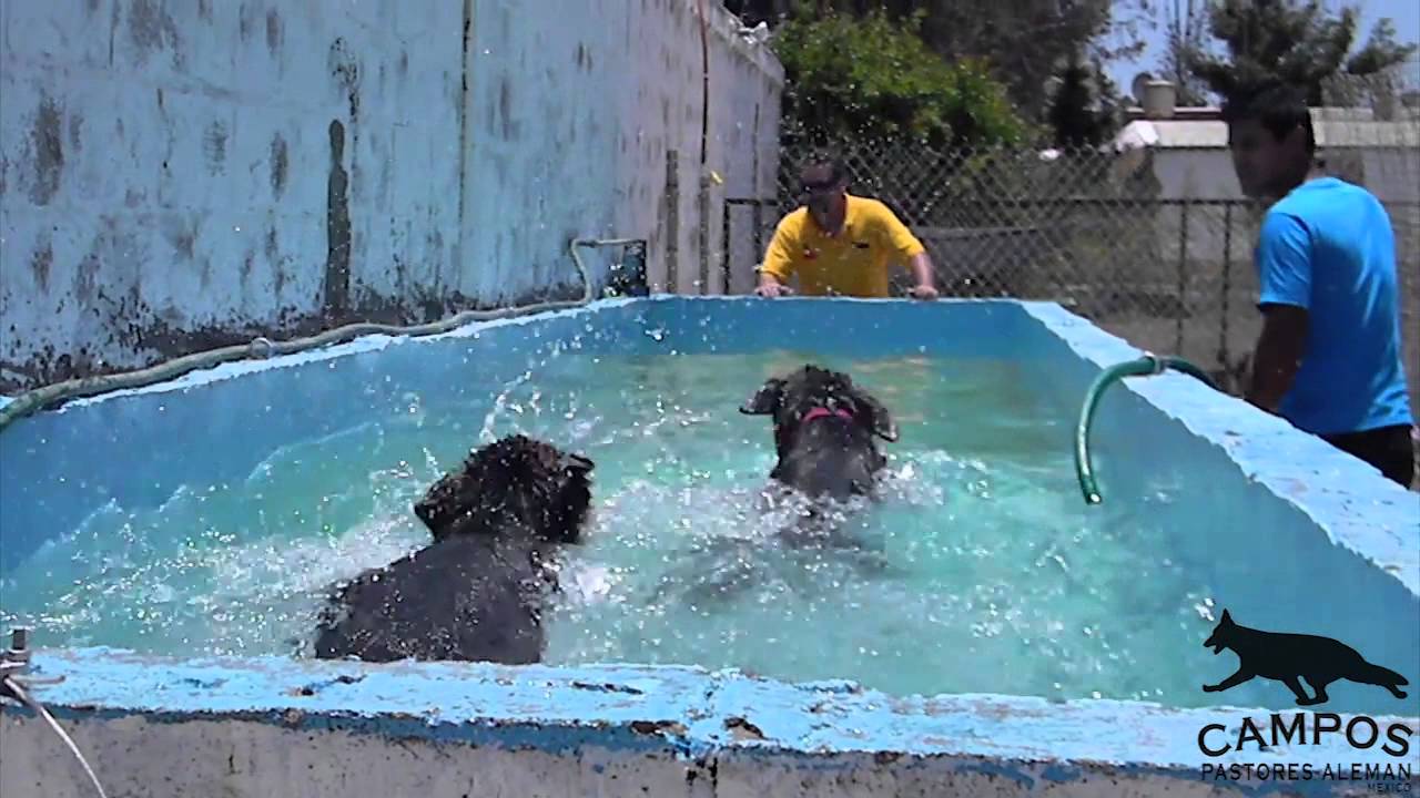 Mia & Holly Pool Party (Chuchos Camp) - YouTube