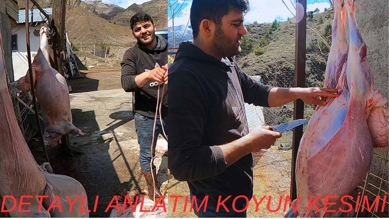 KUZU KESİMİ ! DETAYLI ANLATIM ... - YouTube