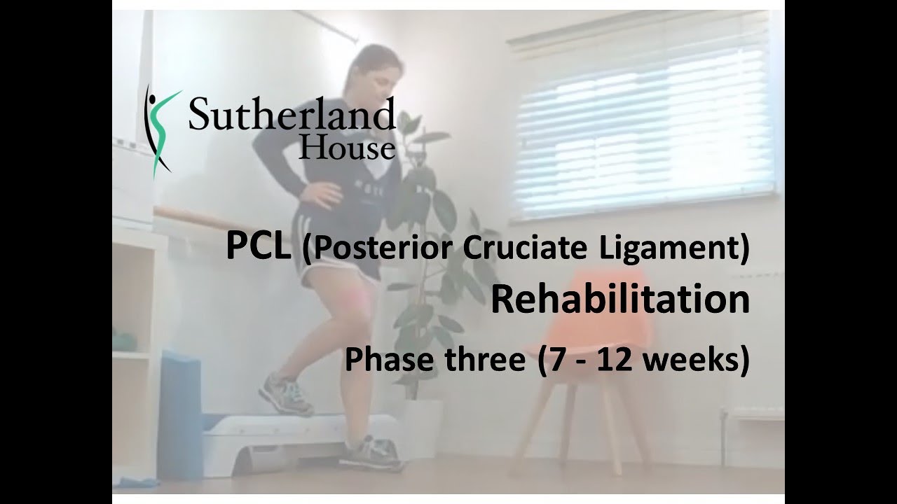 Posterior Cruciate Ligament (PCL) Rehabilitation - Phase three (7 - 12 ...