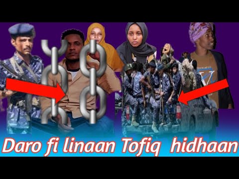 June 4, 2024🛑,Daroon Tofiqoo Manaa yamtee Motummaa Qabsiftee kuno 💪😱 - YouTube