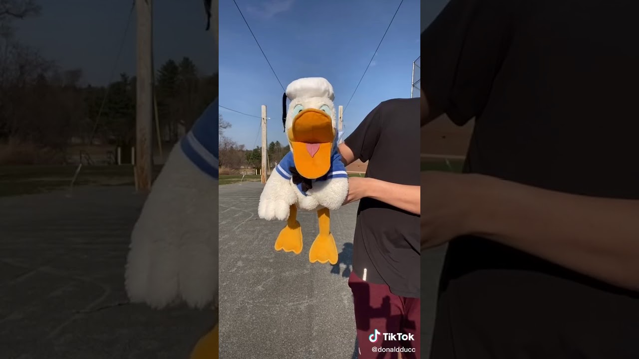 Haha Donald Duck - YouTube
