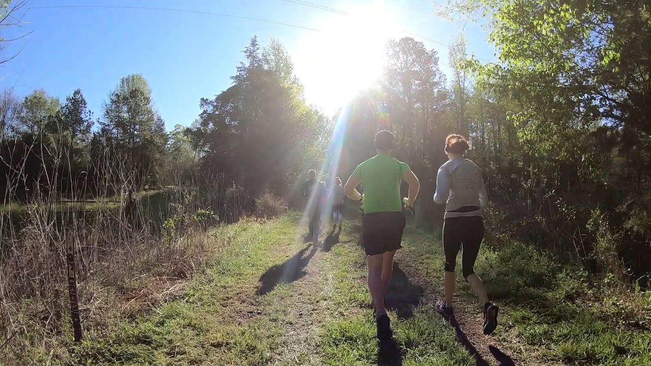 Virtual Treadmill Run: True to the Brew - Full 10k Trail Race - YouTube