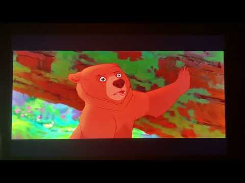 Opening to The Lion King 2003 Special Edition/Platinum Edition DVD (Disc 1, 60fps)