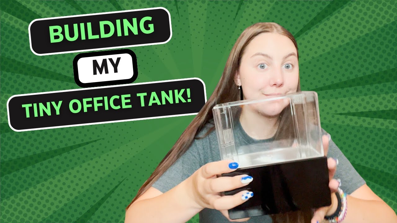 Building My Tiny Tank: Part 1 - YouTube