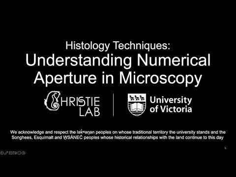 Understanding Numerical Aperture in Microscopy - YouTube