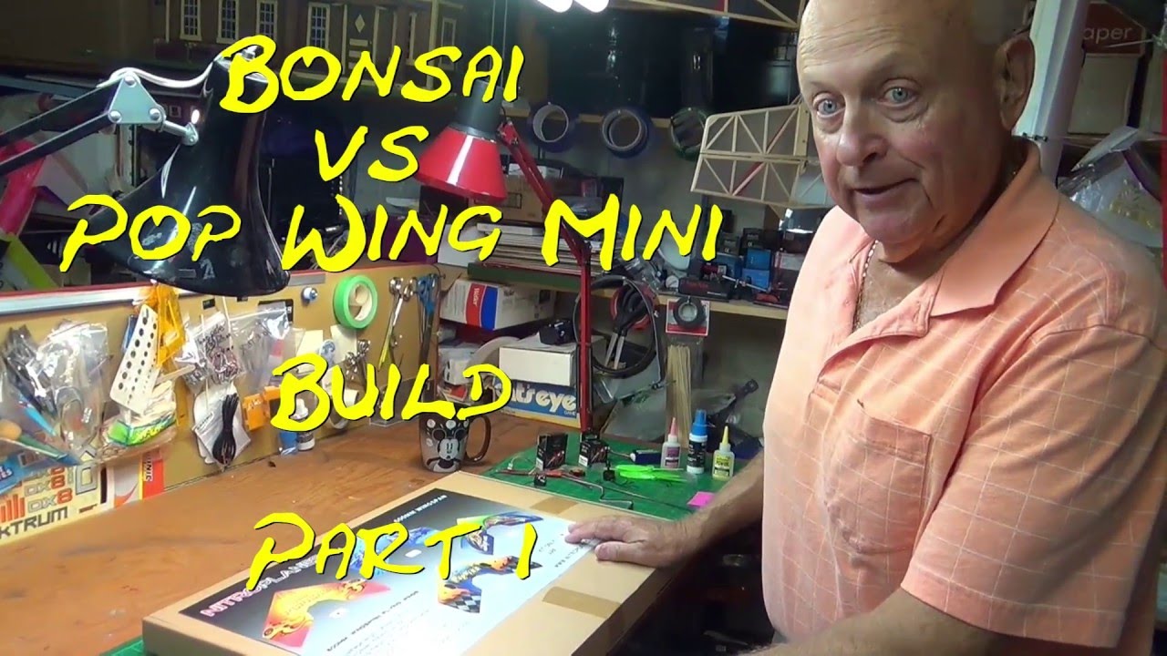 Bonsai vs Pop Wing Mini Build Part 1 - YouTube