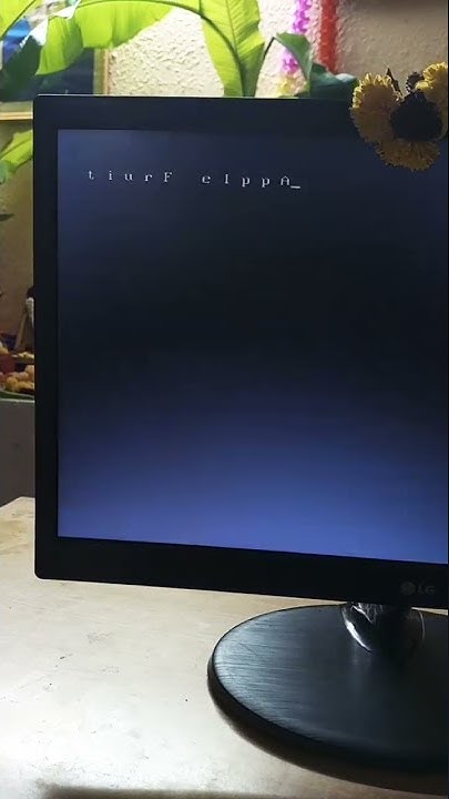 C Programming - String Reverse Using Recursion - YouTube