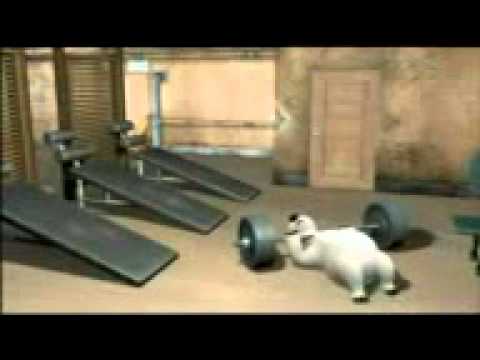 Bernard_Bear_In_Gym.3gp