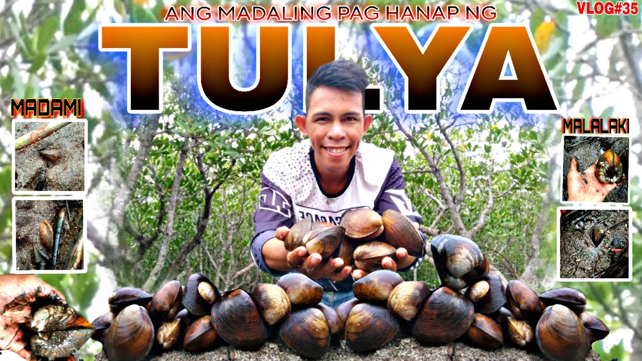 Nagsilabasan ang malalaking tulya pinupulot ko lang.seafood adventure ...
