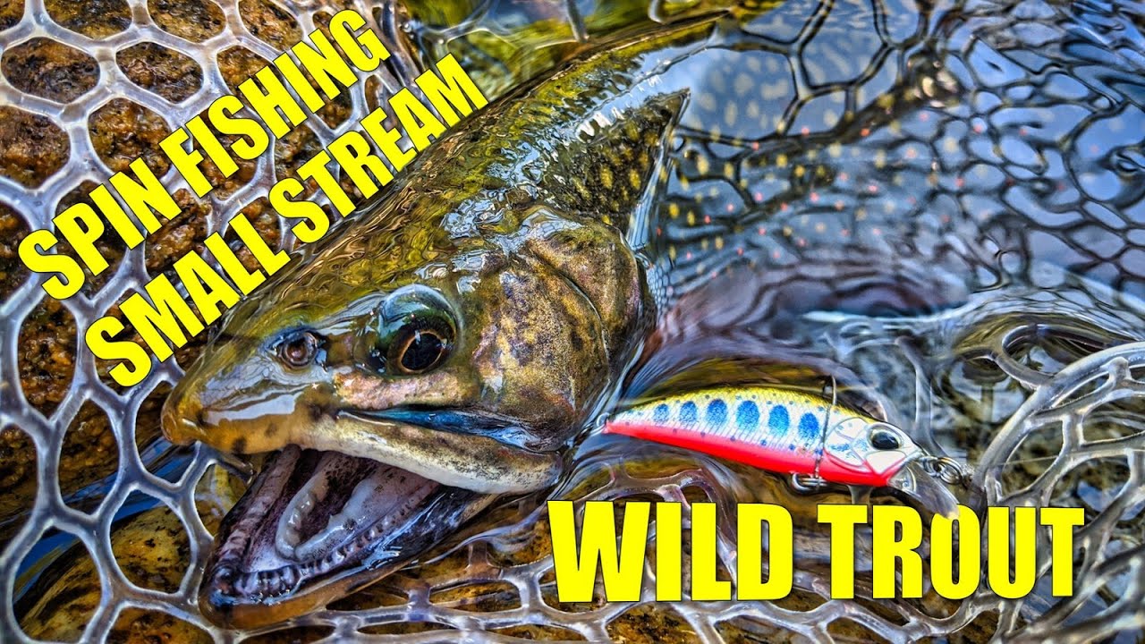 Small Stream Spin Fishing for Wild Trout [Personal Best Stream Brook ...