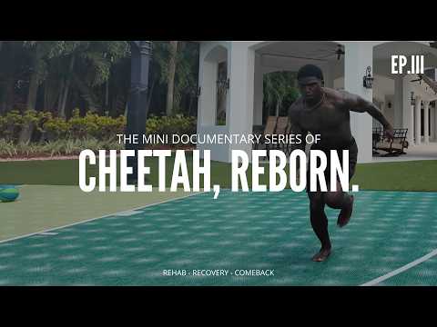 The Cheetah Runs AGAIN | The Cheetah, Reborn : Episode 3