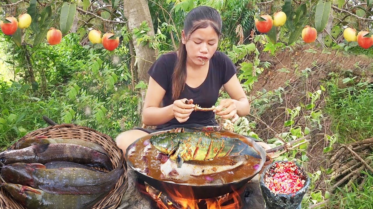 Found and catch Fresh fish in waterfall for food - Fish soup delicious ...