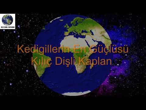 Kaplan  güçü