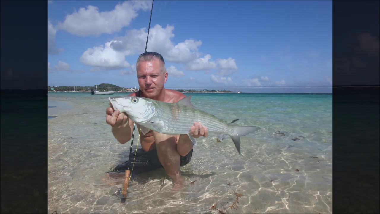 Bonefish record flyfishing in Quadeloupe - YouTube