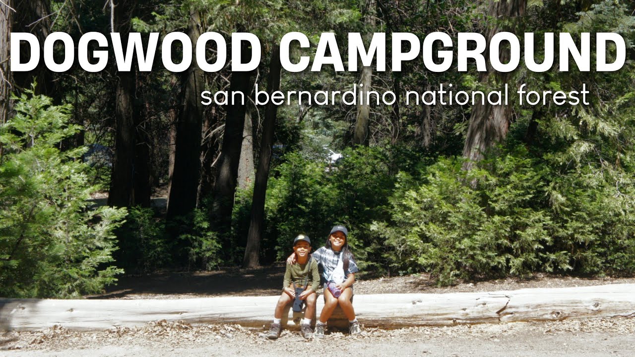 Dogwood Campground | San Bernardino National Forest | Heart Rock Trail ...