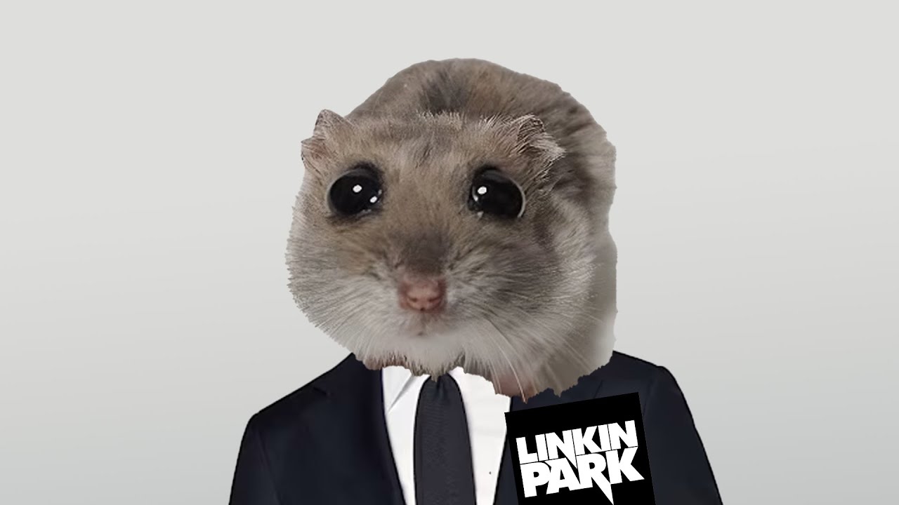 Sad Hamster Meme - YouTube