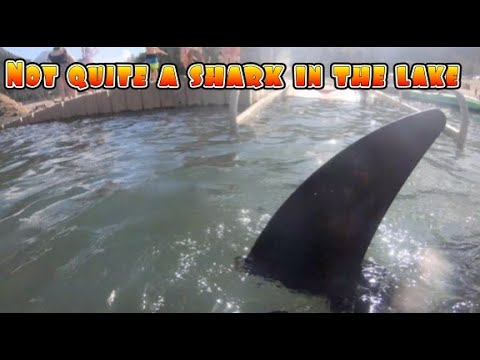 Minion and an iPhone Scuba Diving for Treasure - YouTube