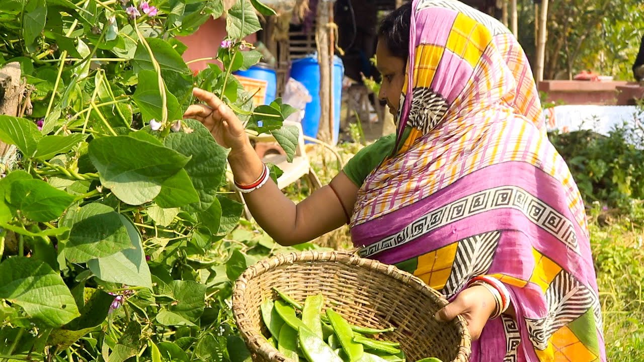 Broad Beans (sim) New Recipe - Tasty village Recipe - YouTube