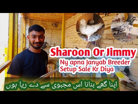 Sharoon Bhai Or Jimmy Sab k Sialkoti Breeder Jory || سب کبوتر پکڑ کے ...