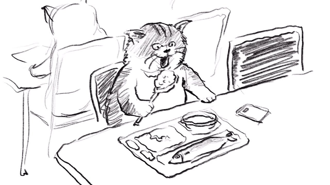 구내식당에서 밥먹는 고양이 cat eating lunch at cafeteria - YouTube