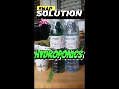 SNAP SOLUTION FOR HYDROPONICS - YouTube
