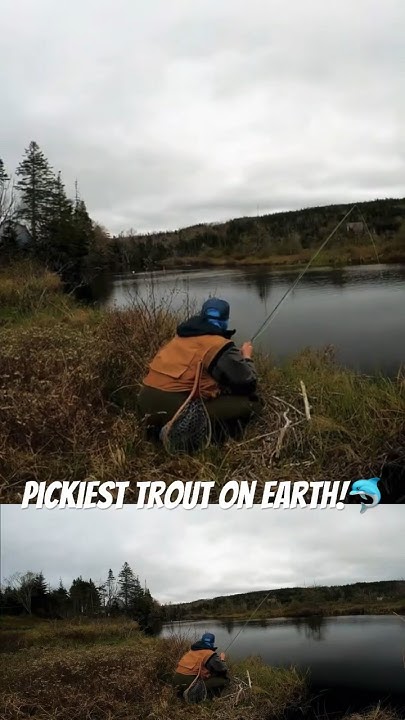 Fishing The Pickiest Trout On Earth - Nova Scotia🐬 - YouTube