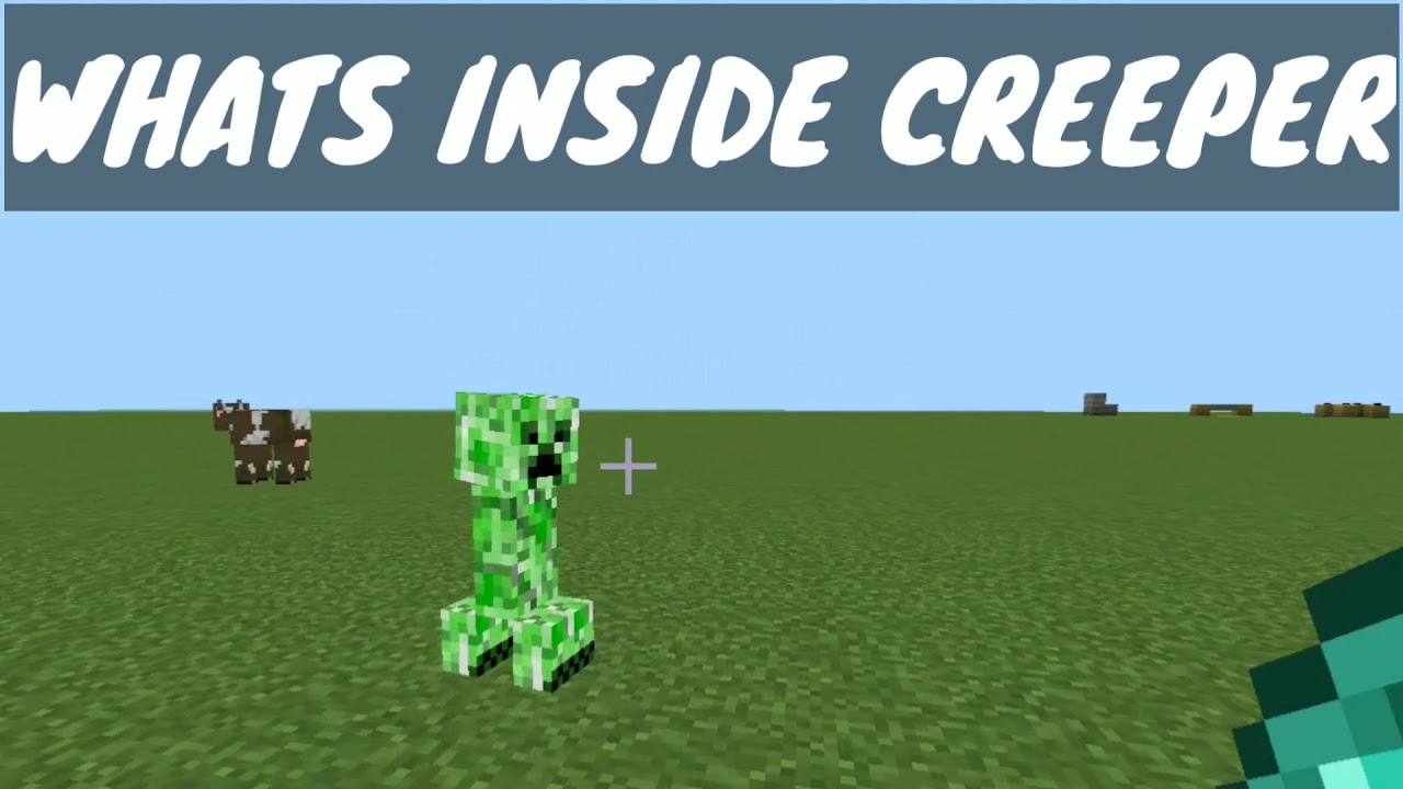 WHAT'S INSIDE CREEPER?? - YouTube