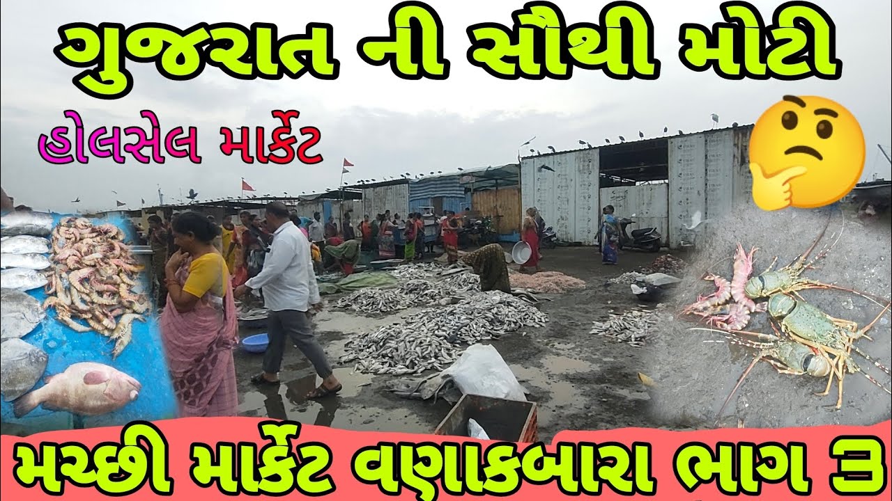 Diu ||Vanakbara{Fish}Market || વાણાકબારા મચ્છી માર્કેટ - YouTube